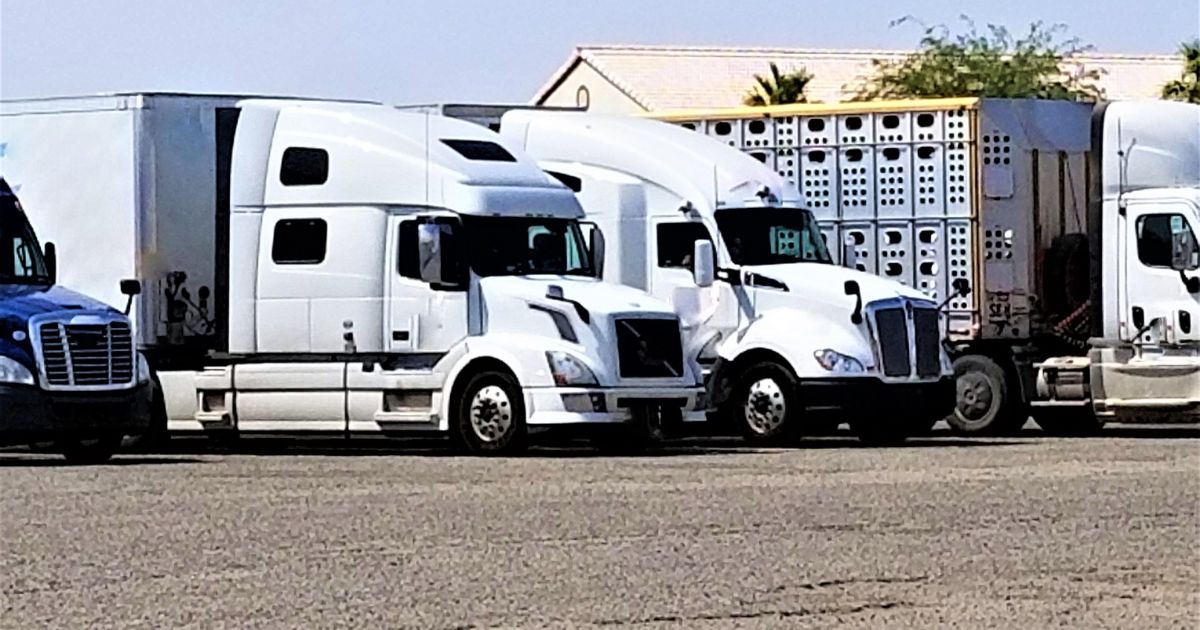 Trucking Logistics and Logistics: Differences – Chief Logistics Company